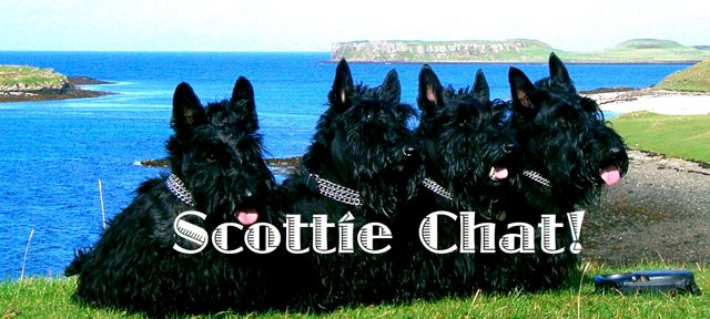 Scottie Health Awareness Day | Scottish Terrier Health Network